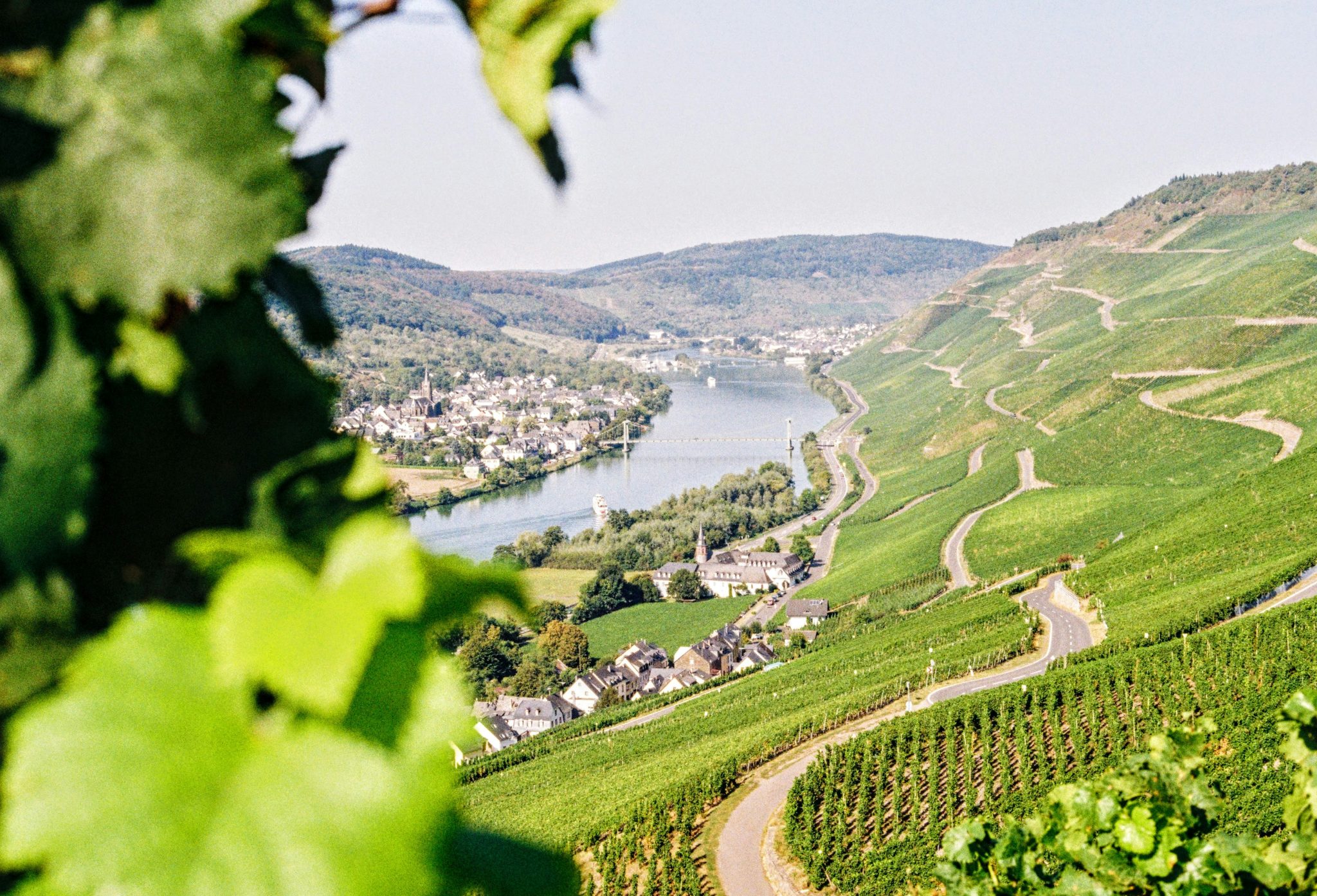 Exploring Germany’s Wine Regions: A Complete Guide to Vineyards ...