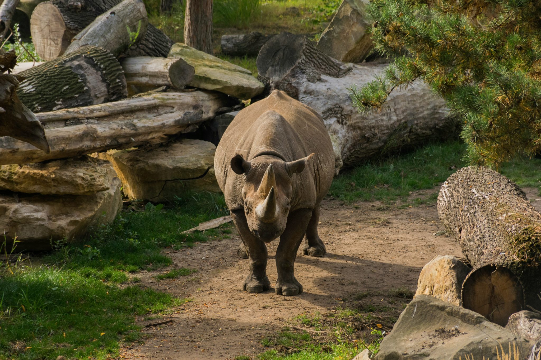 Best Zoos in Germany for Families by Region